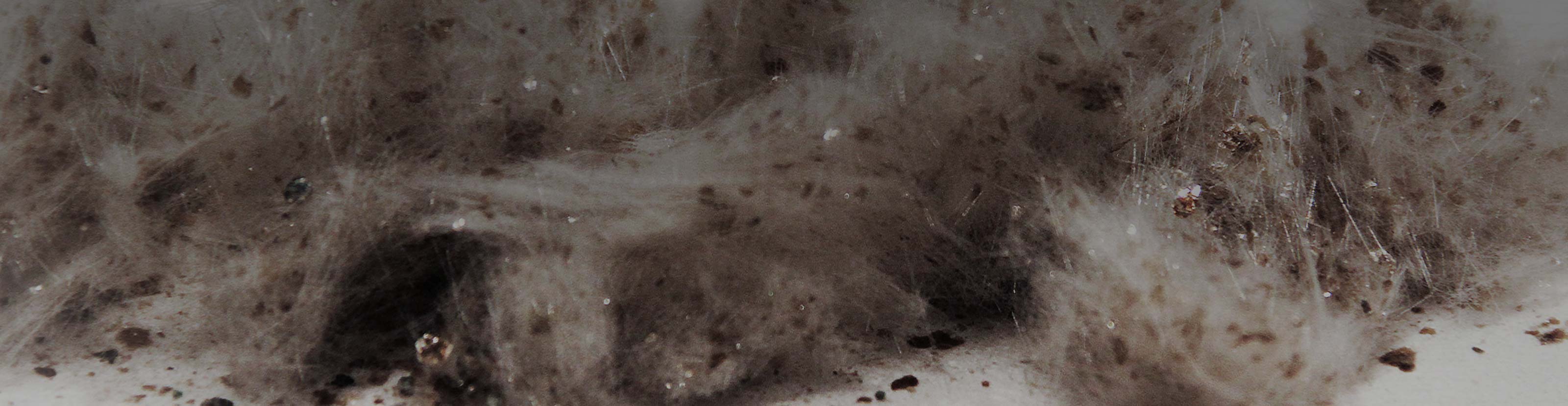 Losseal Microfracture Lost Circulation Control Treatment | SLB