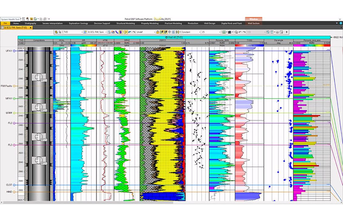 Petrel well correlation | SLB