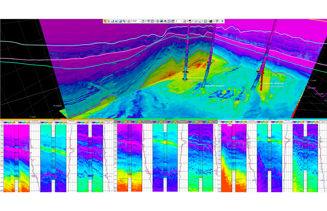 Petrel quantitative interpretation | SLB