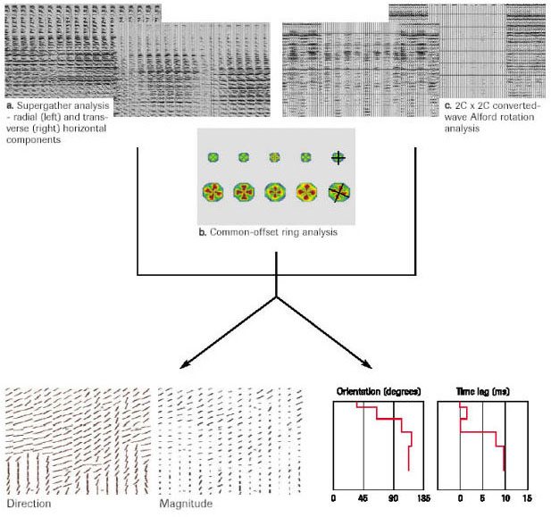 Azimuthal Anisotropic Analysis | SLB