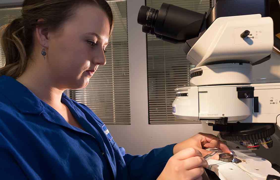 Fluid Inclusion Petrography and Microthermometry | SLB