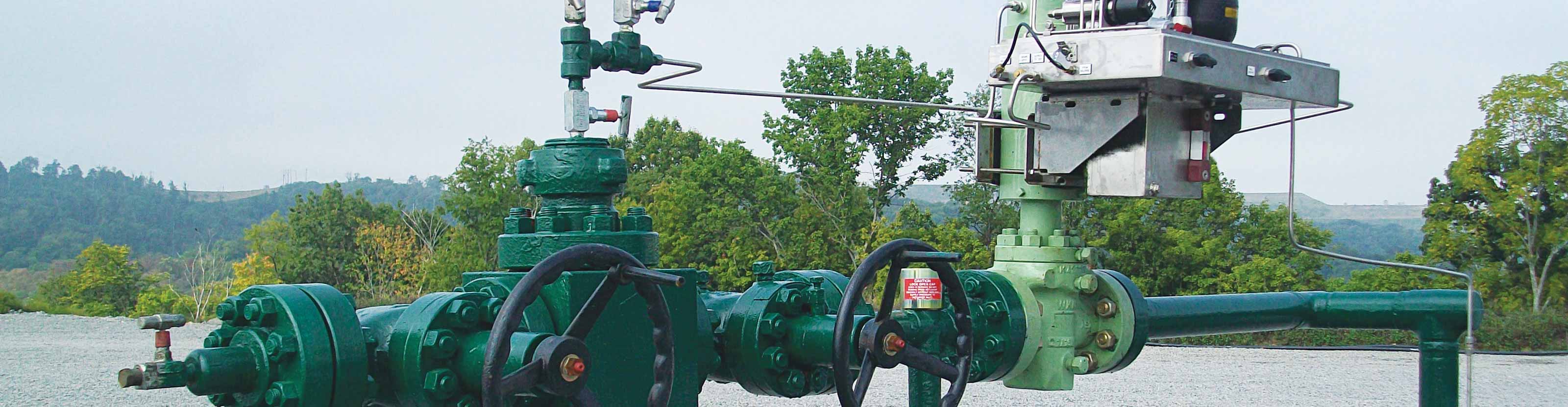 FL API 6A Slab-Style Gate Valve | SLB