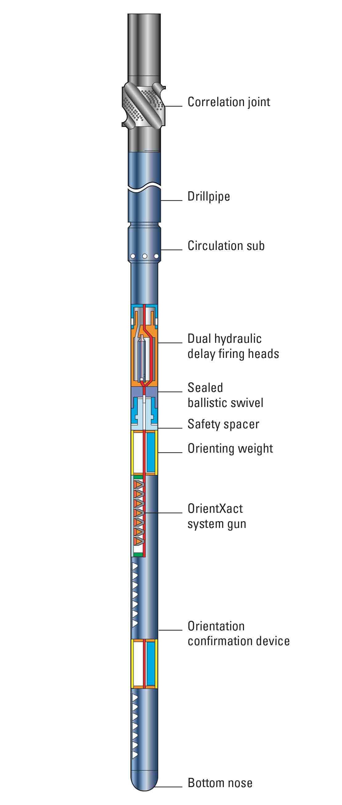 OrientXact Tubing-Conveyed Oriented Perforating System | SLB